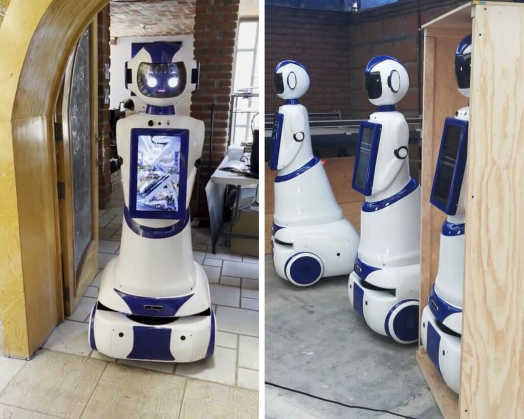 NoBot, un humanoide mexicano