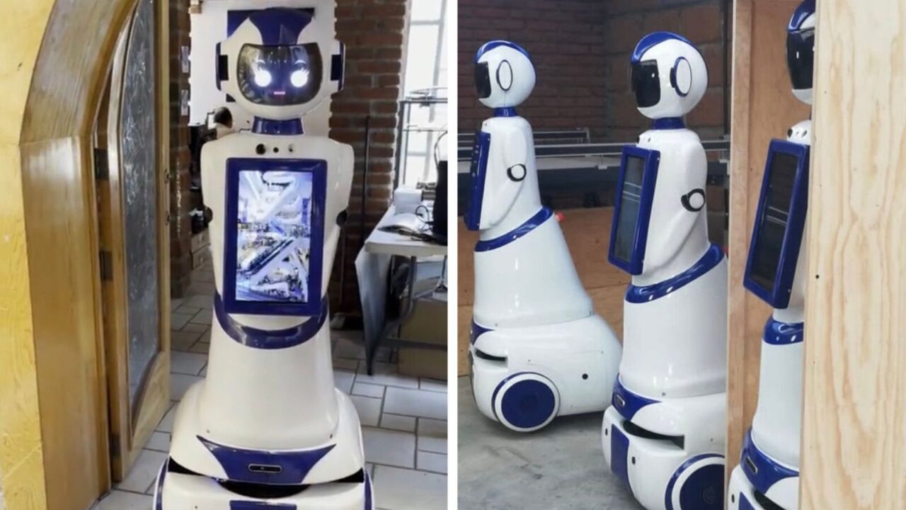 Yo, robot, tú robot, todos, robot