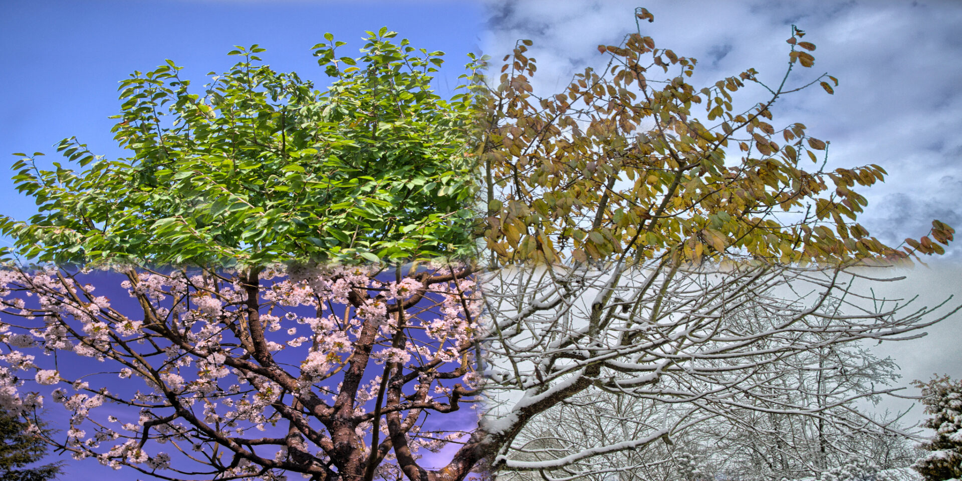 El impacto del cambio climático en las estaciones del año